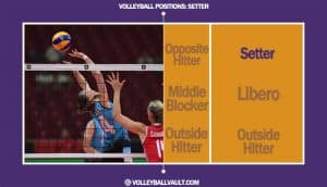 Volleyball Positions 101: Player Roles Explained - Volleyball Vault
